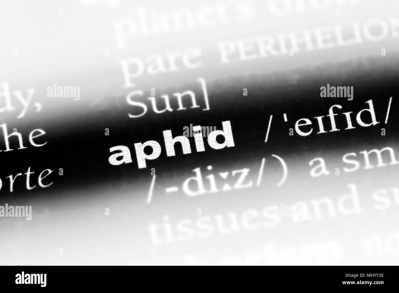 aphid word in a dictionary. aphid concept Stock Photo - Alamy