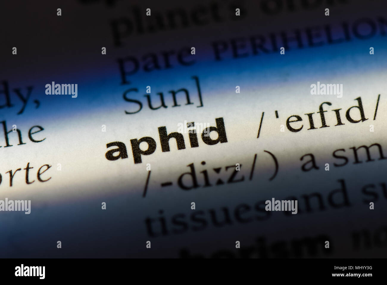 aphid word in a dictionary. aphid concept Stock Photo - Alamy