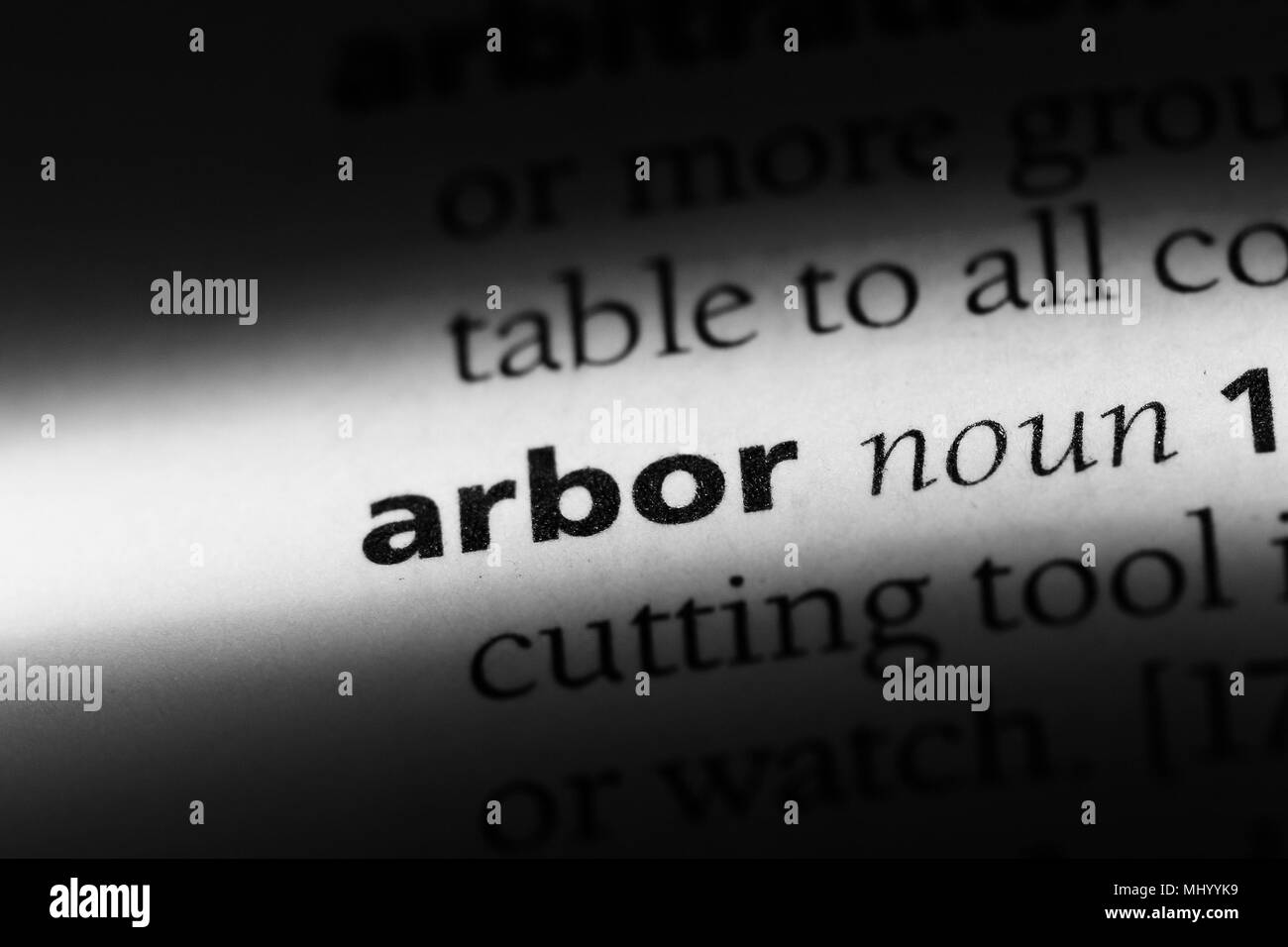 arbor word in a dictionary. arbor concept Stock Photo - Alamy
