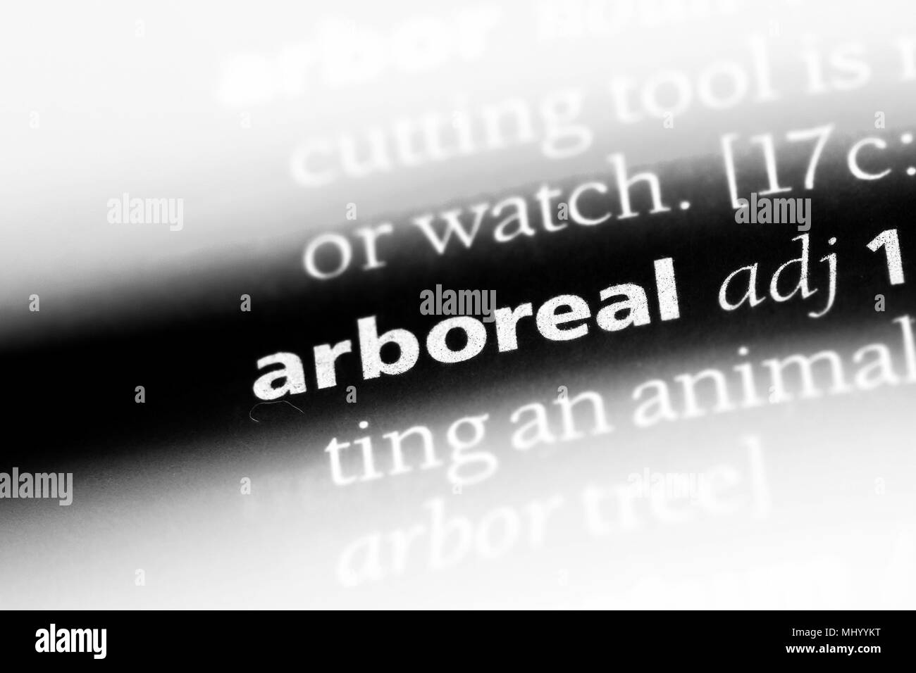 Arboreal Black and White Stock Photos & Images - Alamy