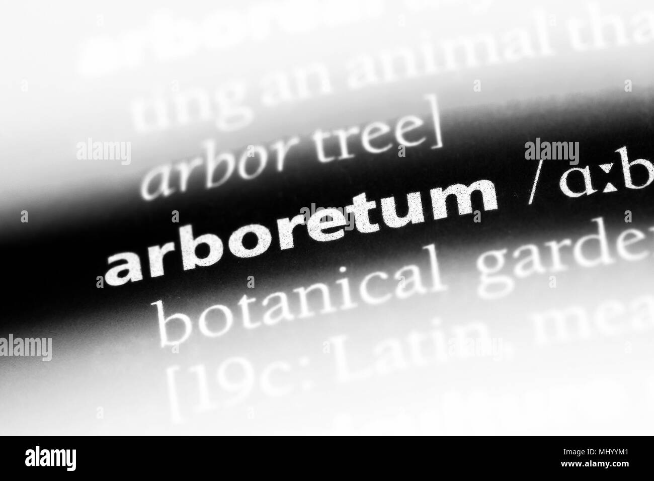 arboretum word in a dictionary. arboretum concept Stock Photo - Alamy