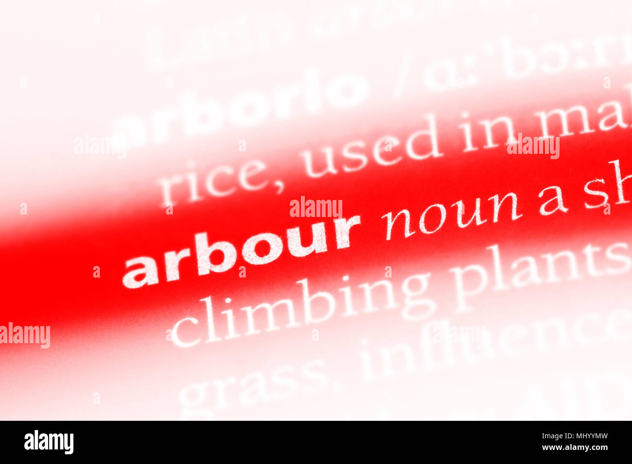 arbour word in a dictionary. arbour concept Stock Photo - Alamy