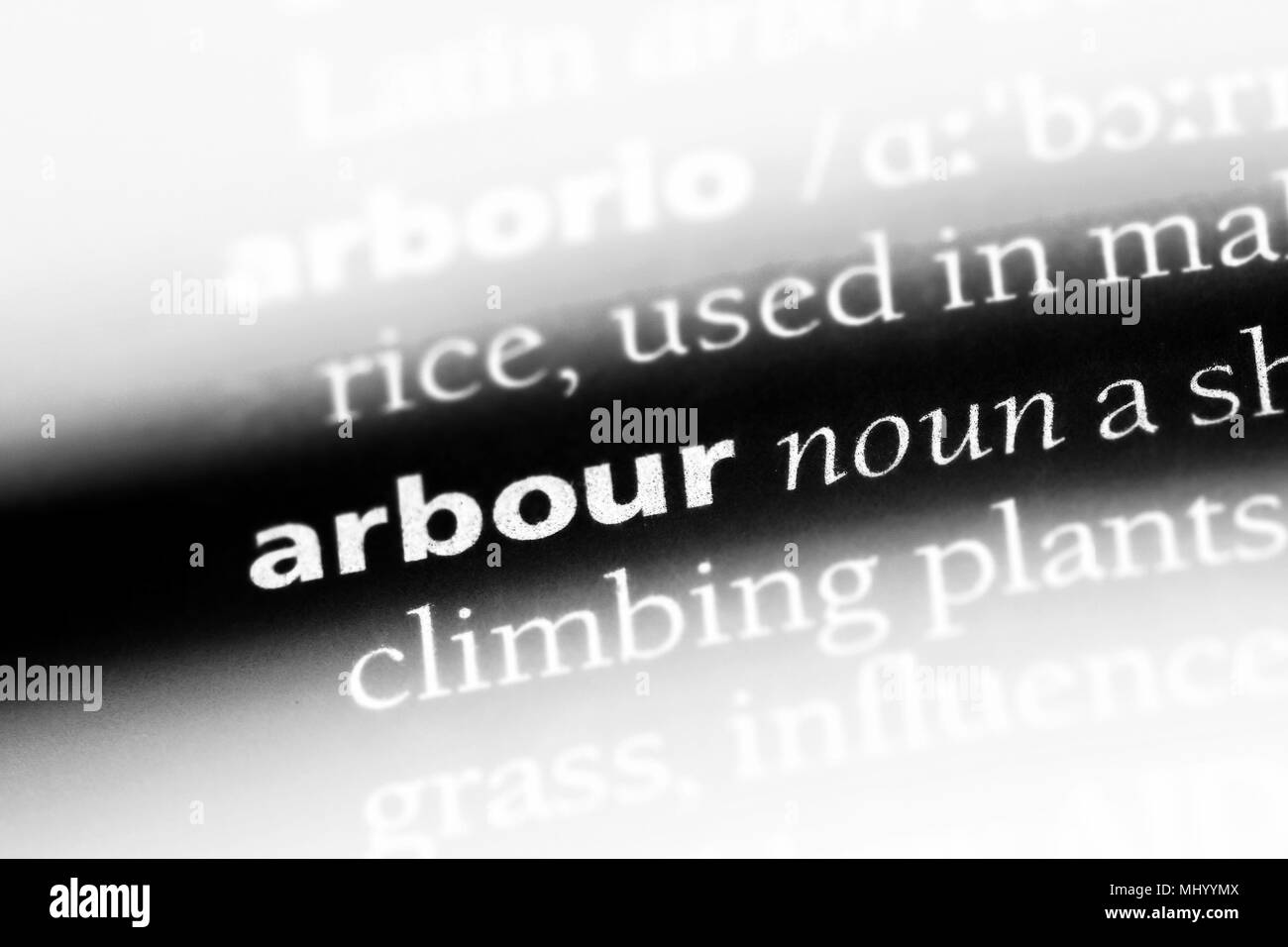 arbour word in a dictionary. arbour concept Stock Photo - Alamy