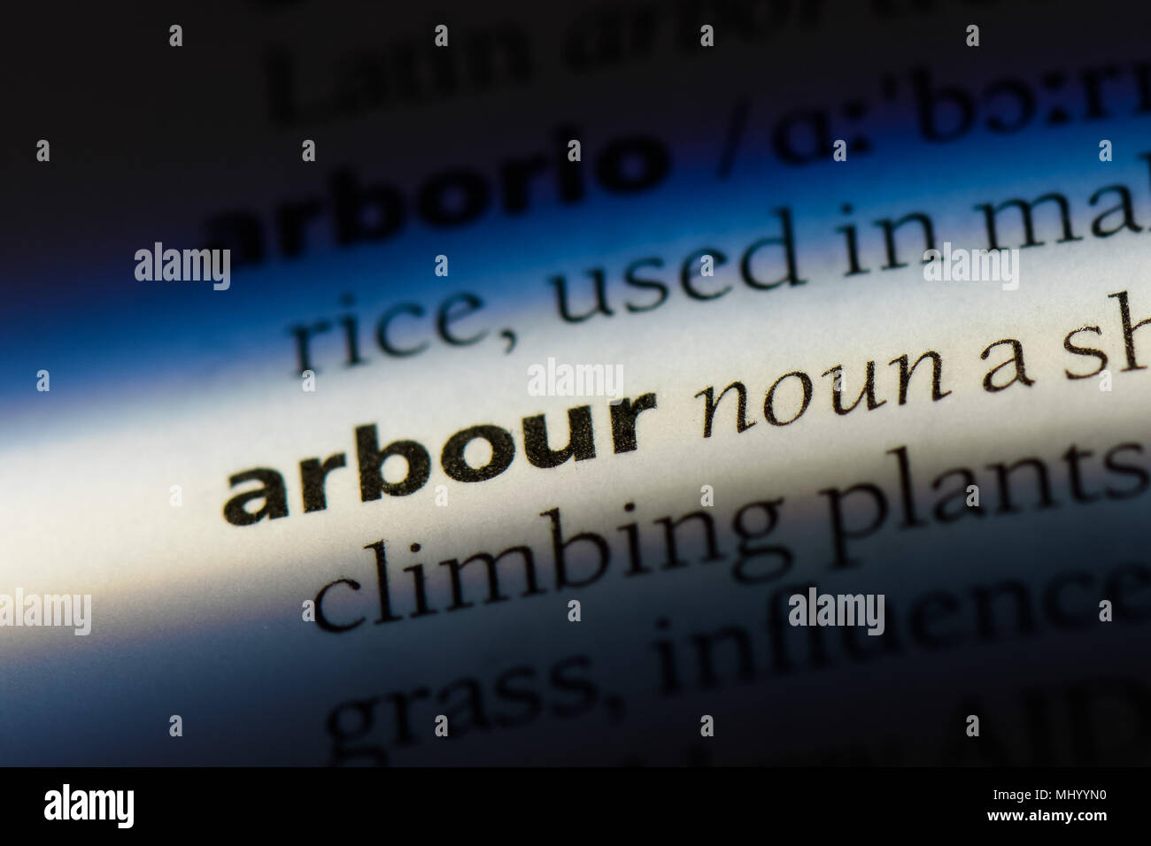 arbour word in a dictionary. arbour concept Stock Photo - Alamy