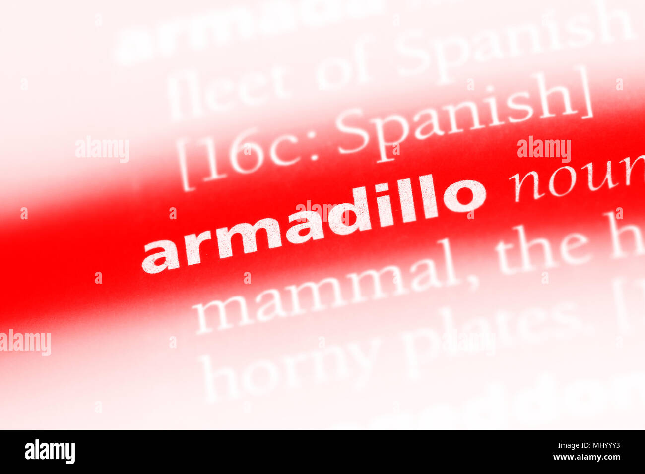 armadillo word in a dictionary. armadillo concept Stock Photo - Alamy