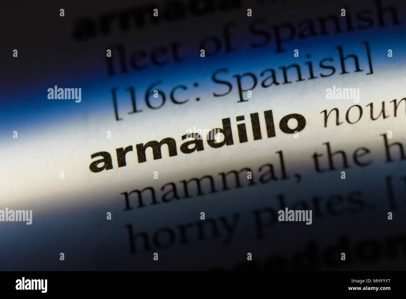 Armadillo close up isolated hi-res stock photography and images - Alamy