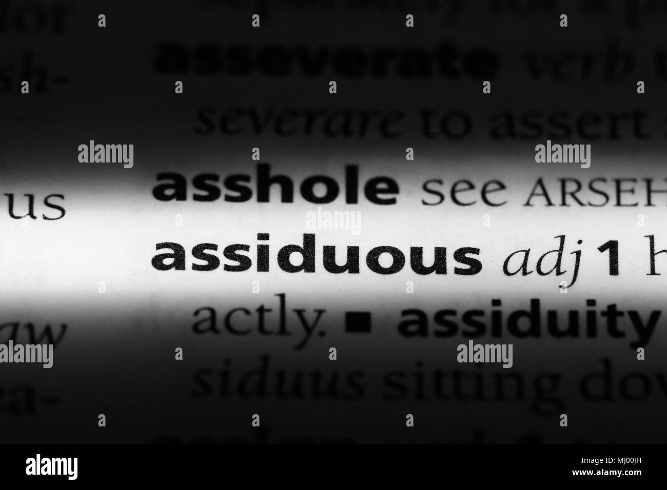 Assiduous hi-res stock photography and images - Alamy