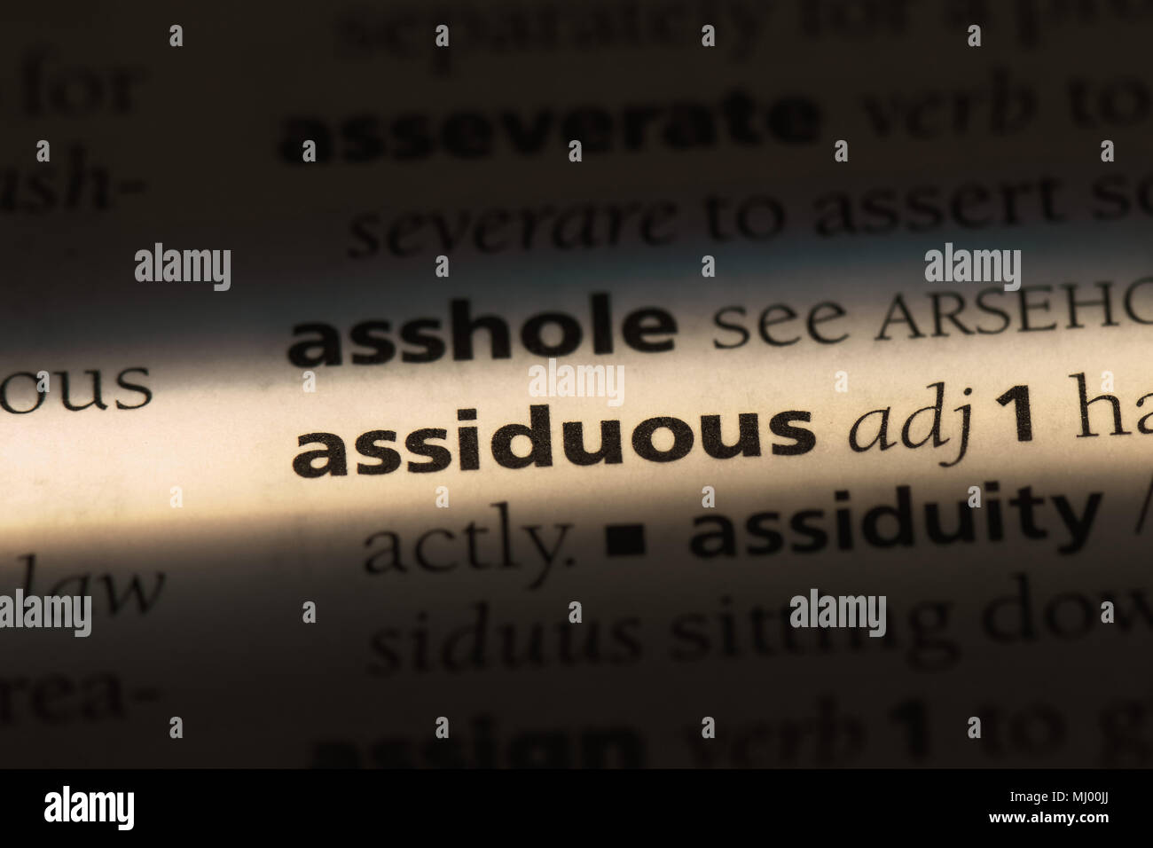 Assiduous hi-res stock photography and images - Alamy