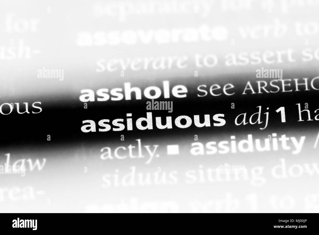 Assiduous Black and White Stock Photos & Images - Alamy