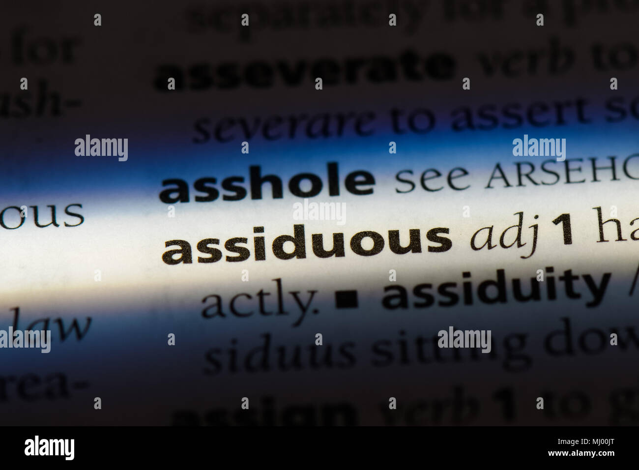 Assiduous hi-res stock photography and images - Alamy