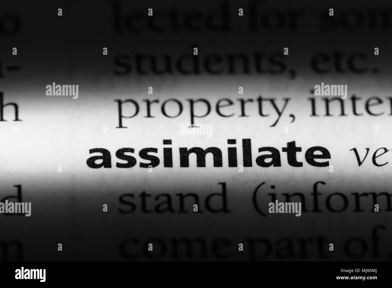 assimilate word in a dictionary. assimilate concept Stock Photo - Alamy