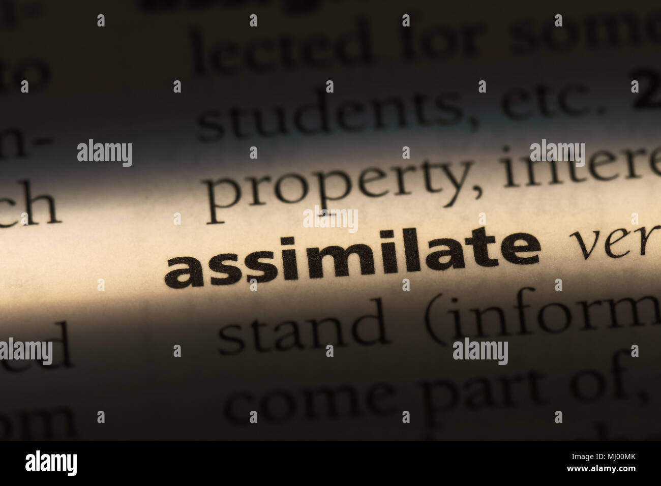 Assimilate hi-res stock photography and images - Alamy