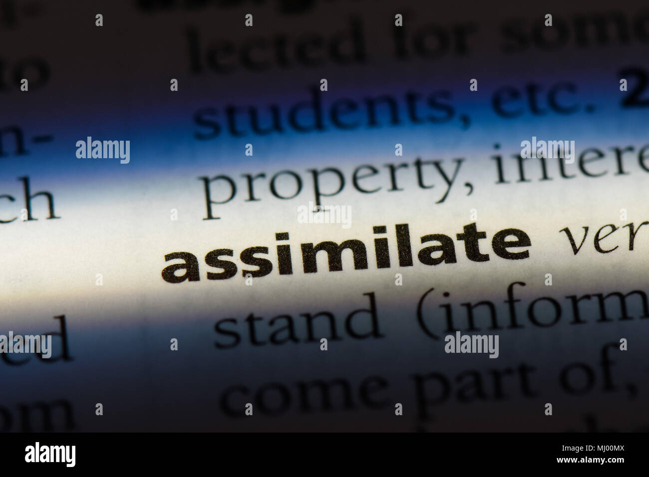 Assimilate hi-res stock photography and images - Alamy