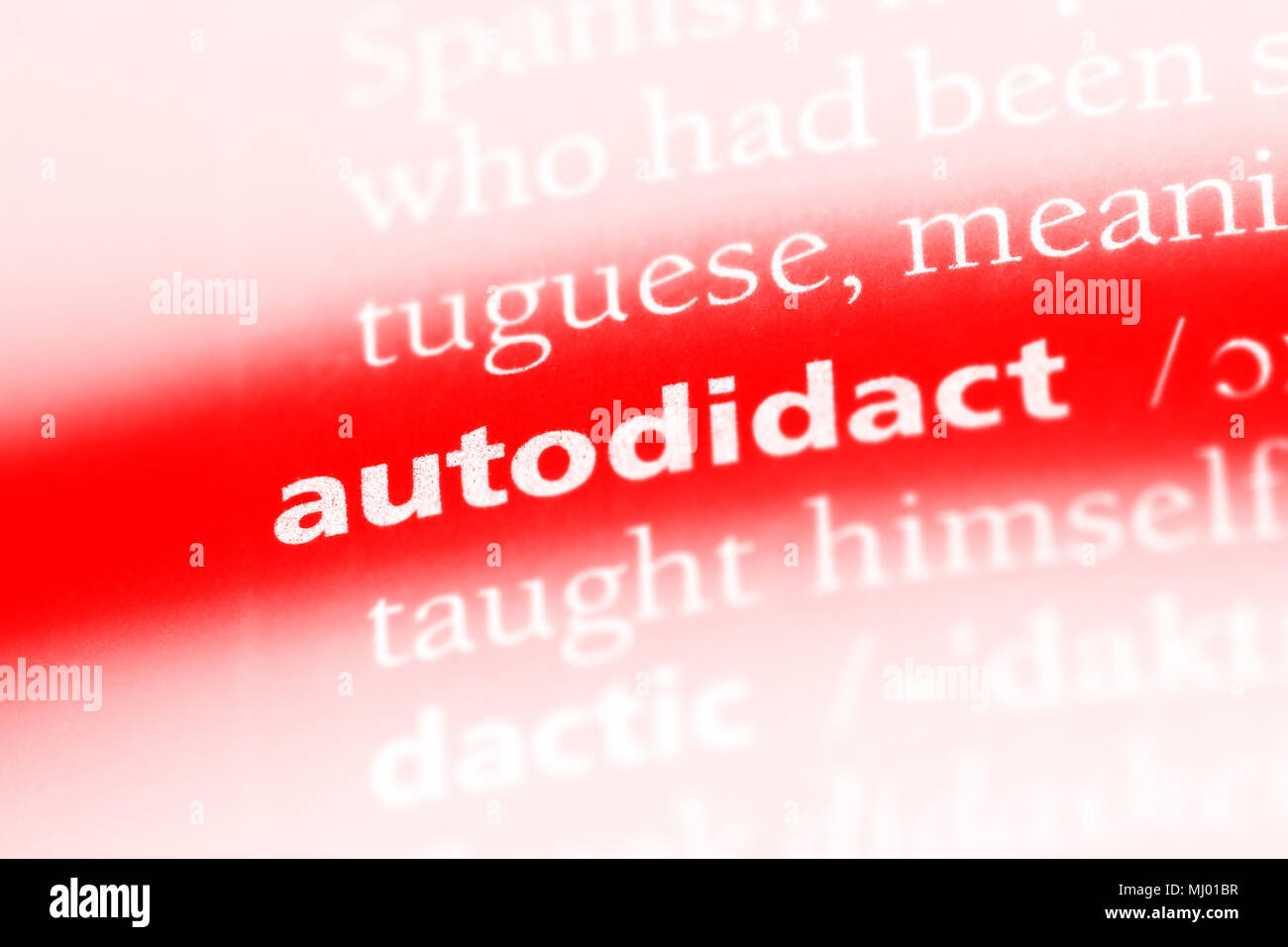 Autodidact hi-res stock photography and images - Alamy