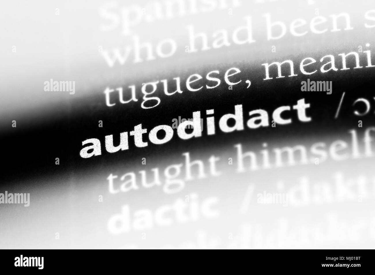 autodidact word in a dictionary. autodidact concept Stock Photo - Alamy