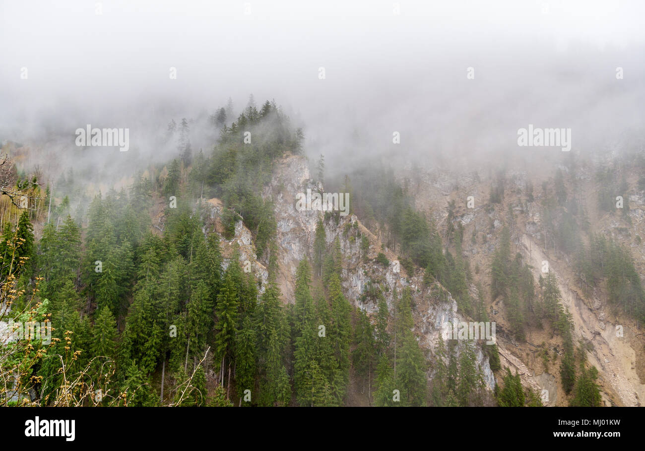 Bavarian alps in a fog - Germany Stock Photo - Alamy