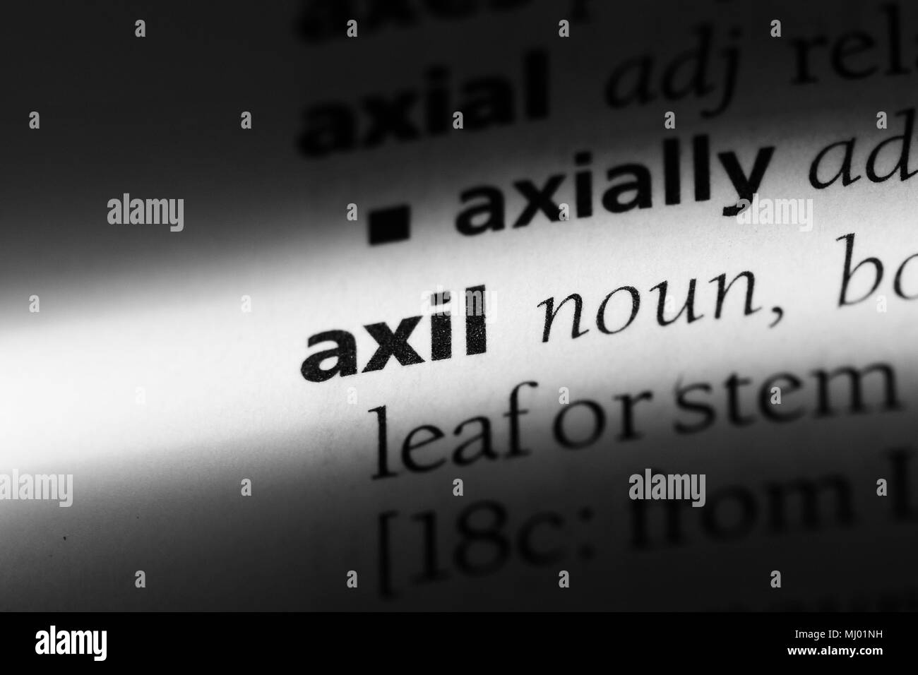 Axil definition hi-res stock photography and images - Alamy