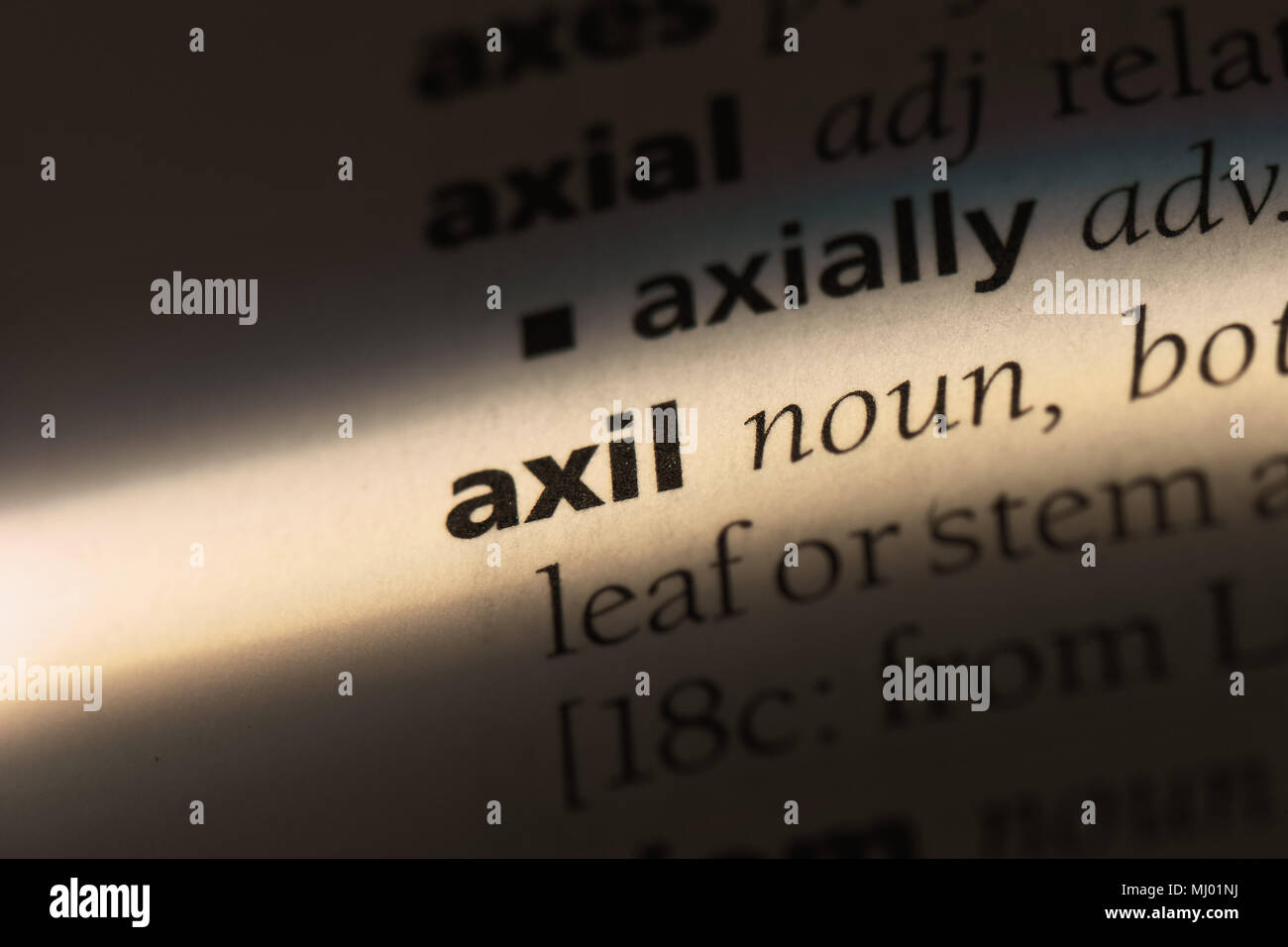 Axil definition hi-res stock photography and images - Alamy