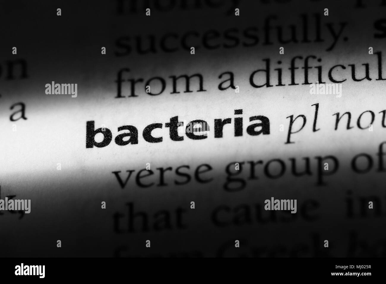 bacteria word in a dictionary. bacteria concept Stock Photo - Alamy