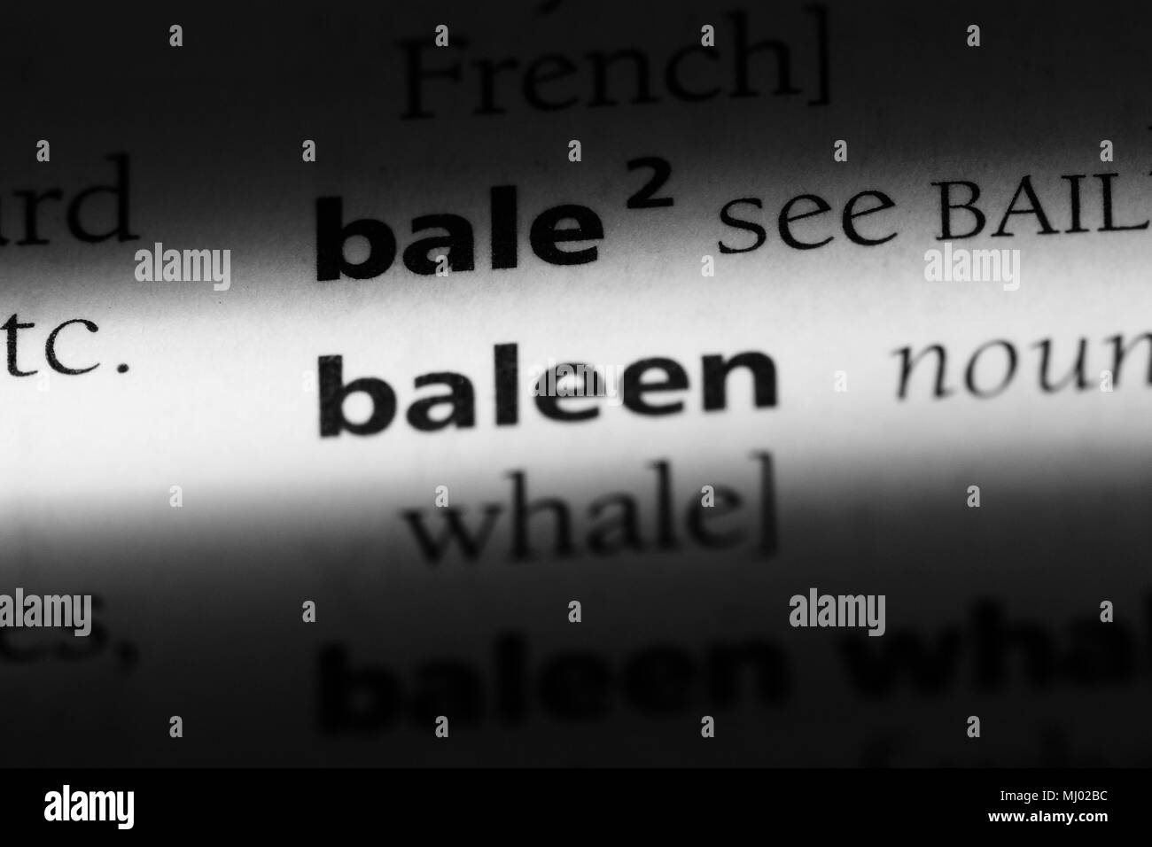 baleen word in a dictionary. baleen concept Stock Photo - Alamy