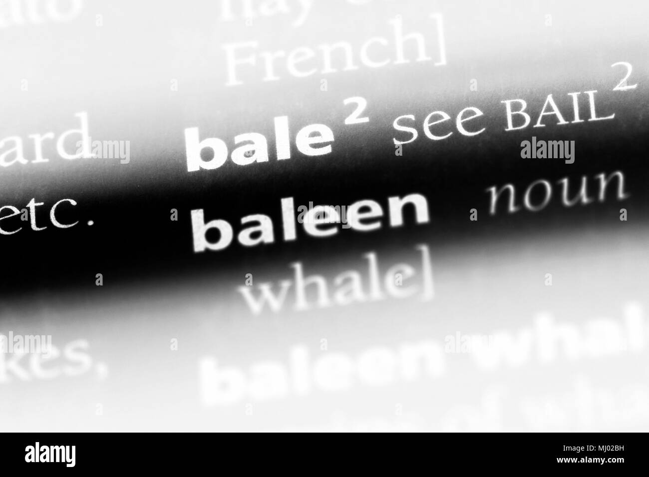 baleen word in a dictionary. baleen concept Stock Photo - Alamy