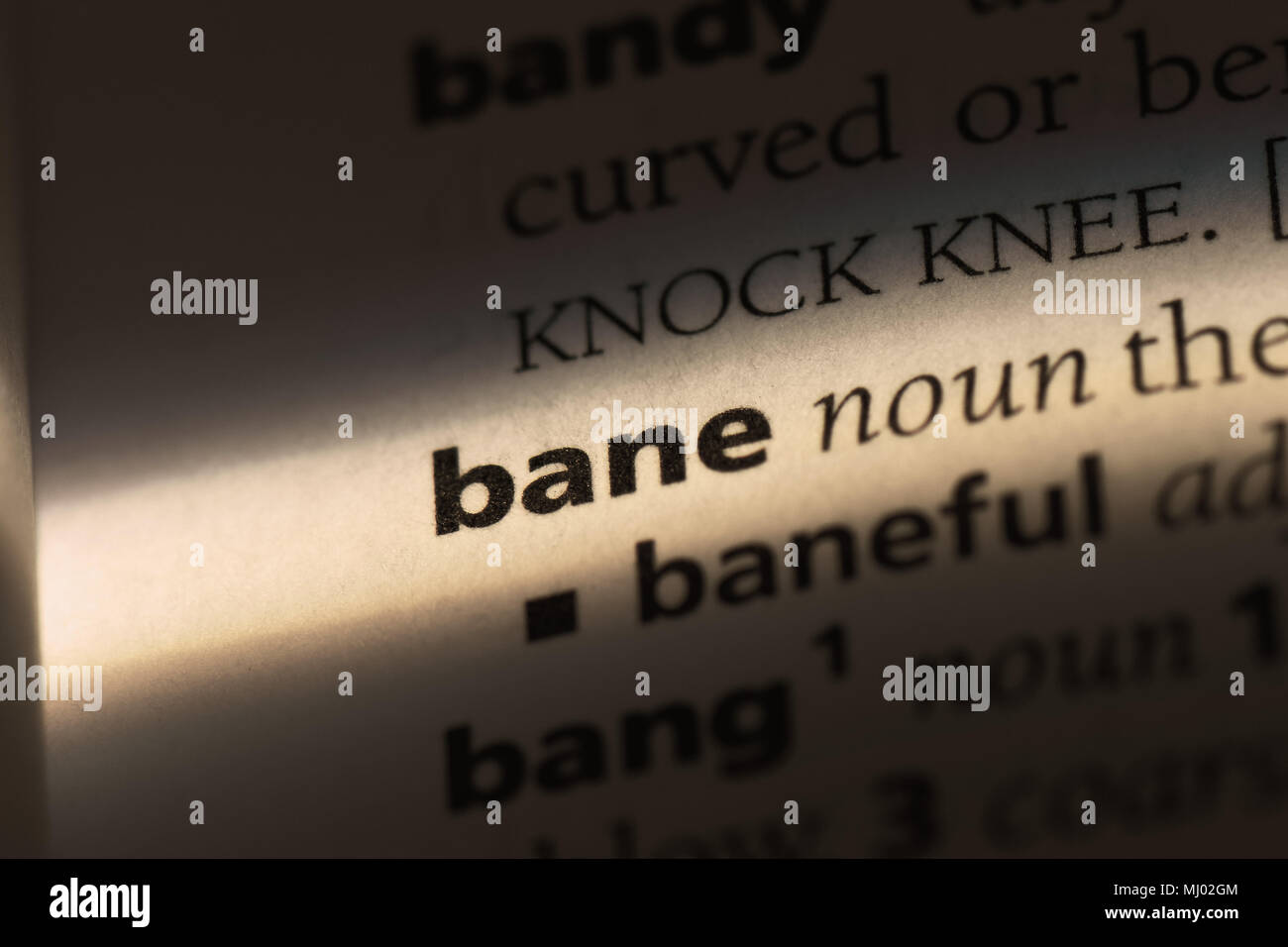 bane word in a dictionary. bane concept Stock Photo - Alamy