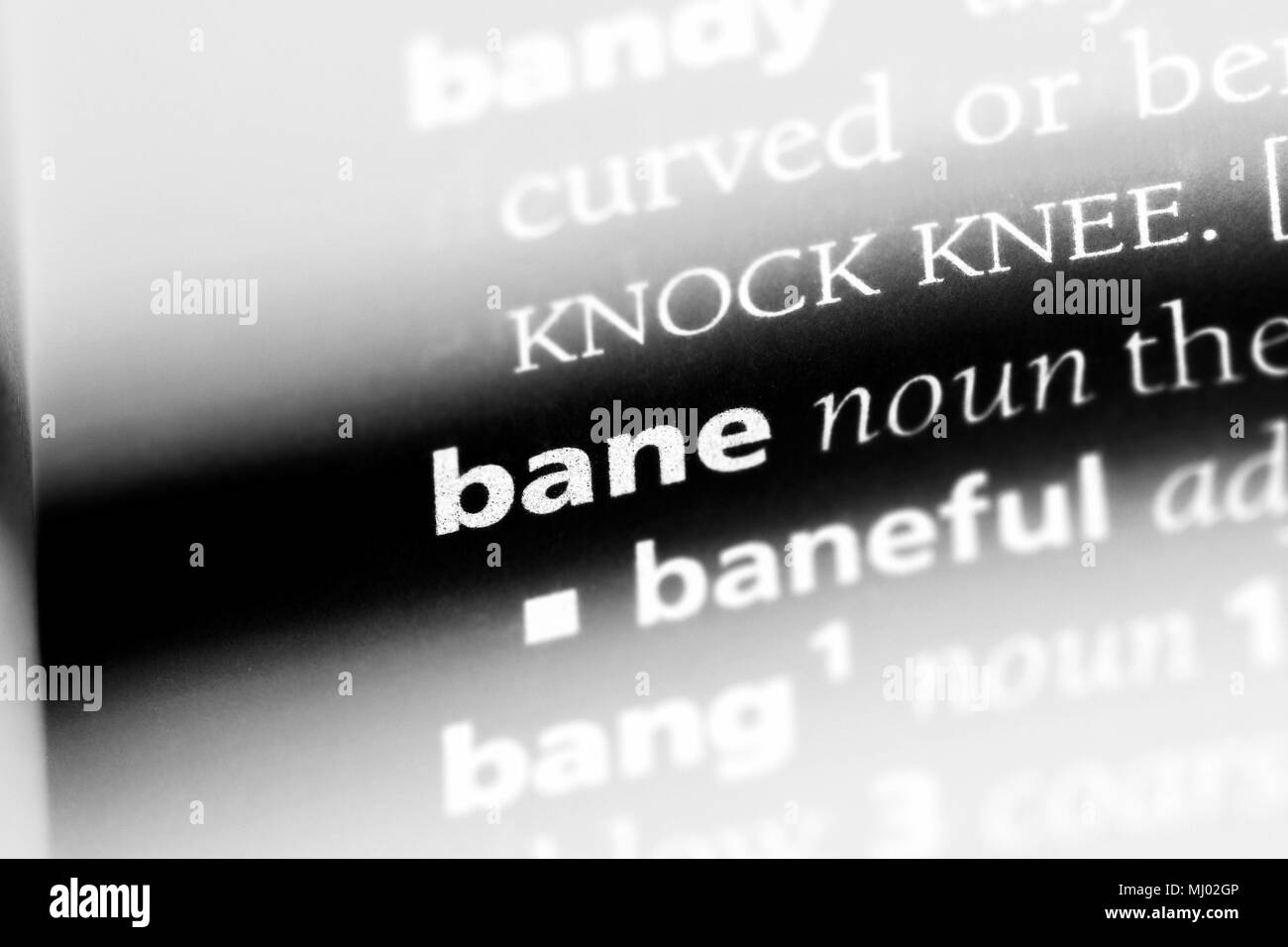 bane word in a dictionary. bane concept Stock Photo - Alamy