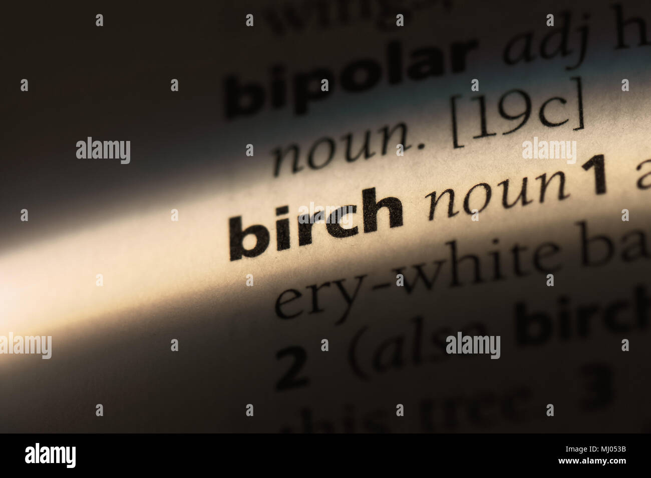 birch word in a dictionary. birch concept Stock Photo - Alamy