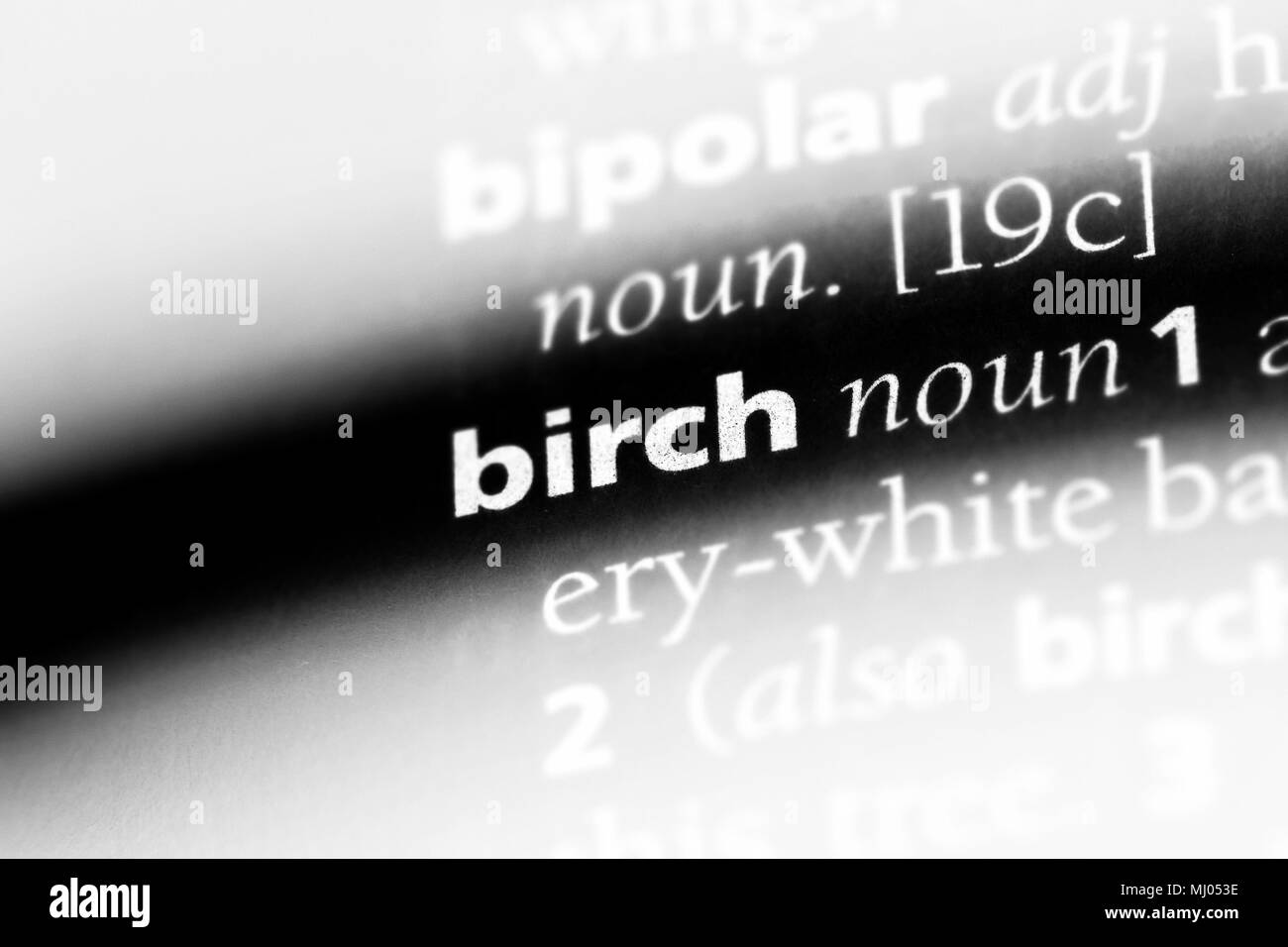 birch word in a dictionary. birch concept Stock Photo - Alamy