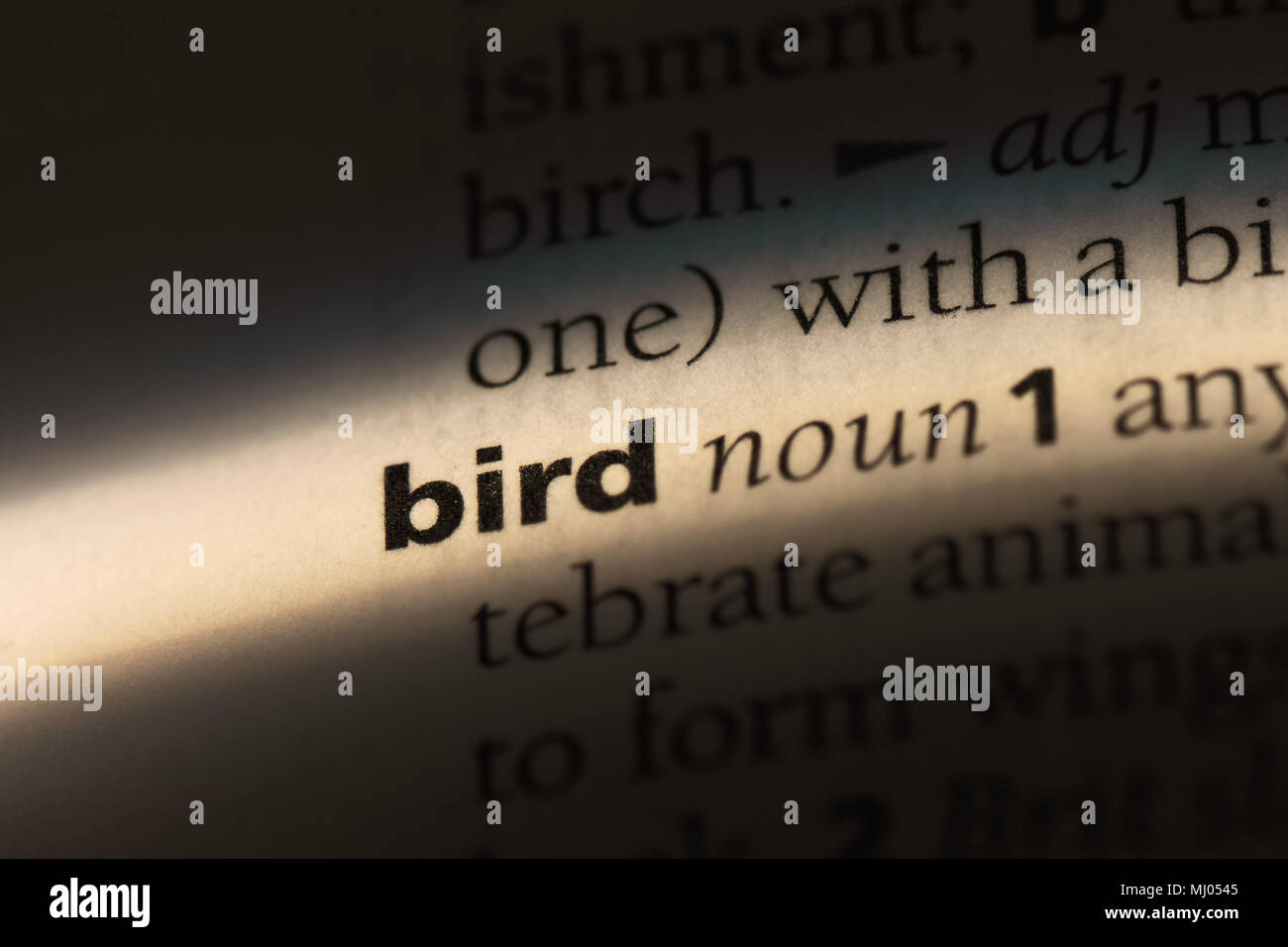 bird word in a dictionary. bird concept Stock Photo - Alamy