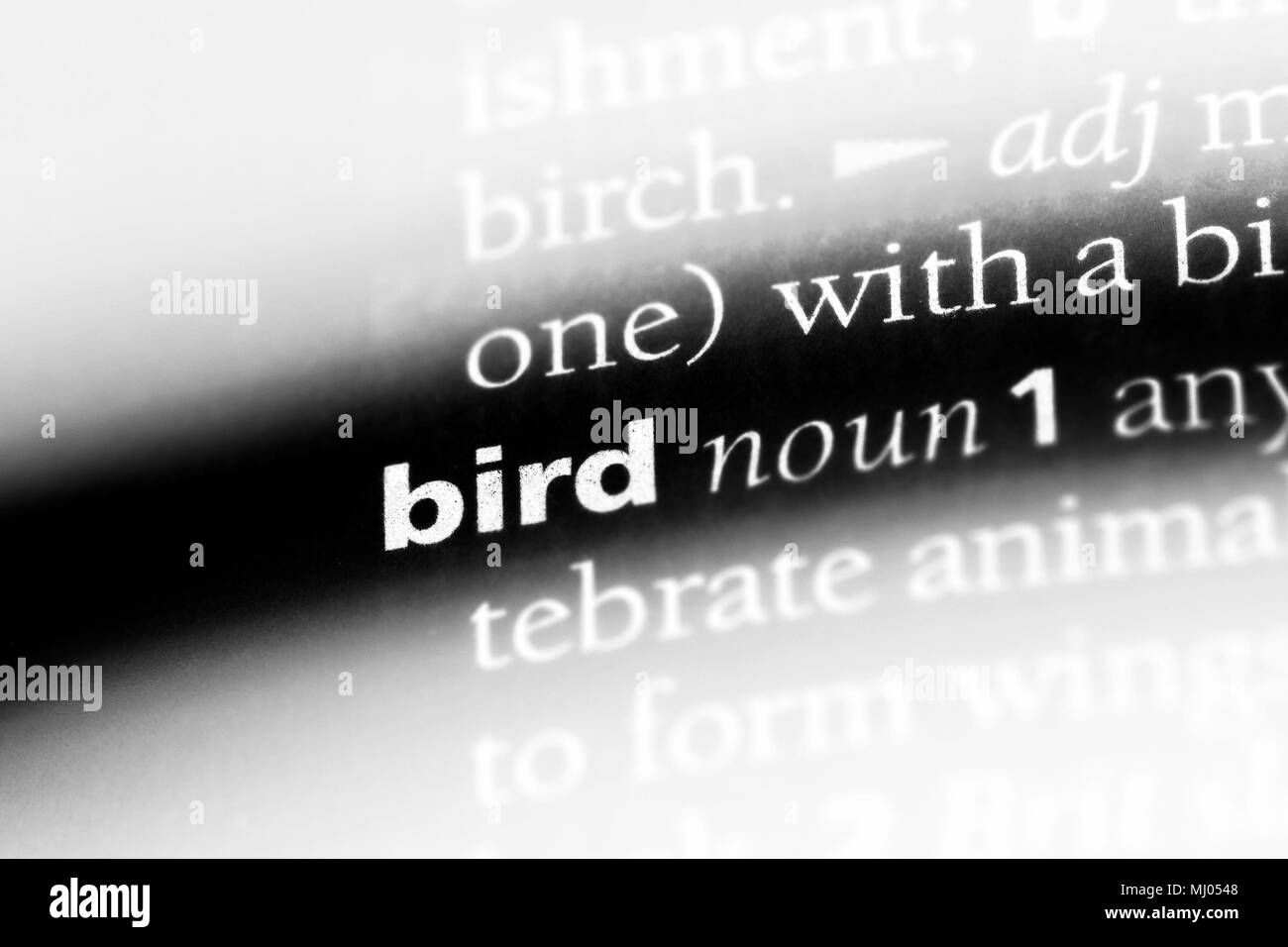bird word in a dictionary. bird concept Stock Photo - Alamy