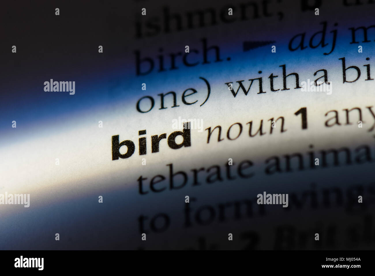 Bird word hi-res stock photography and images - Alamy