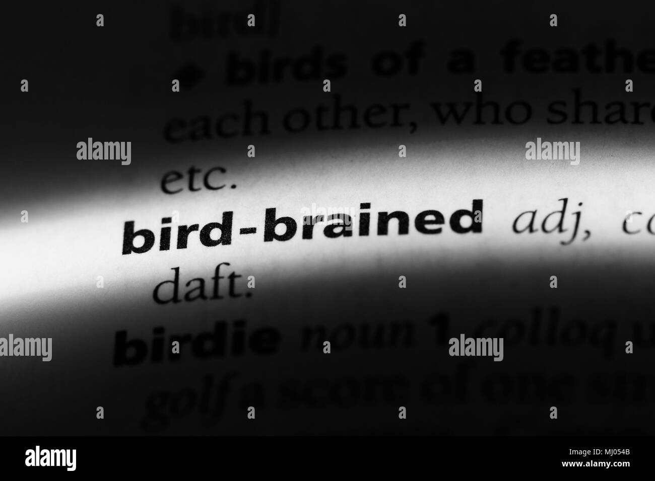 bird-brained word in a dictionary. bird-brained concept Stock Photo - Alamy