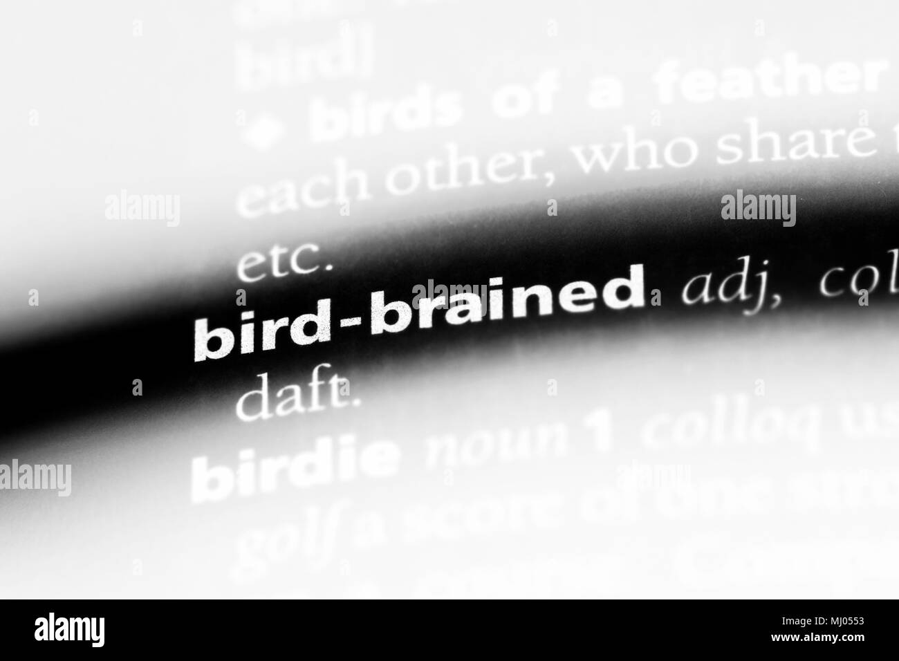 bird-brained word in a dictionary. bird-brained concept Stock Photo - Alamy