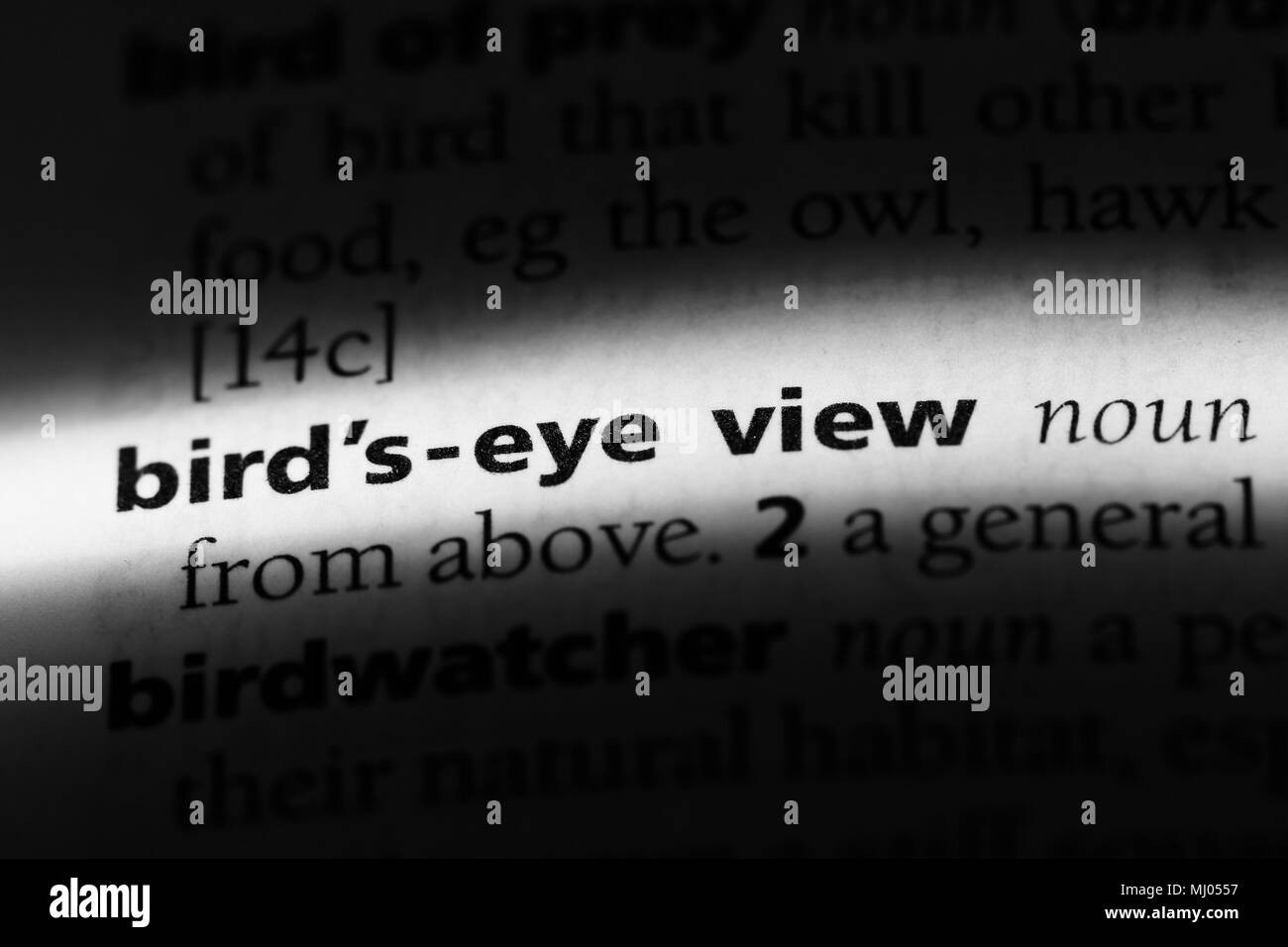 bird's eye view word in a dictionary. bird's eye view concept Stock ...