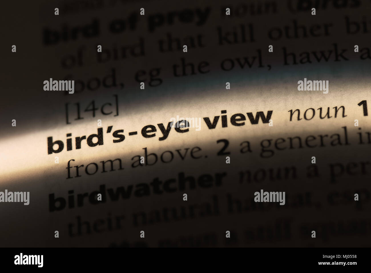 bird's eye view word in a dictionary. bird's eye view concept Stock ...