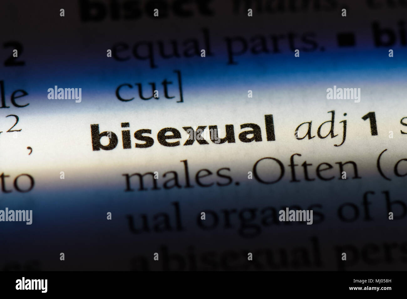 bisexual word in a dictionary. bisexual concept Stock Photo - Alamy