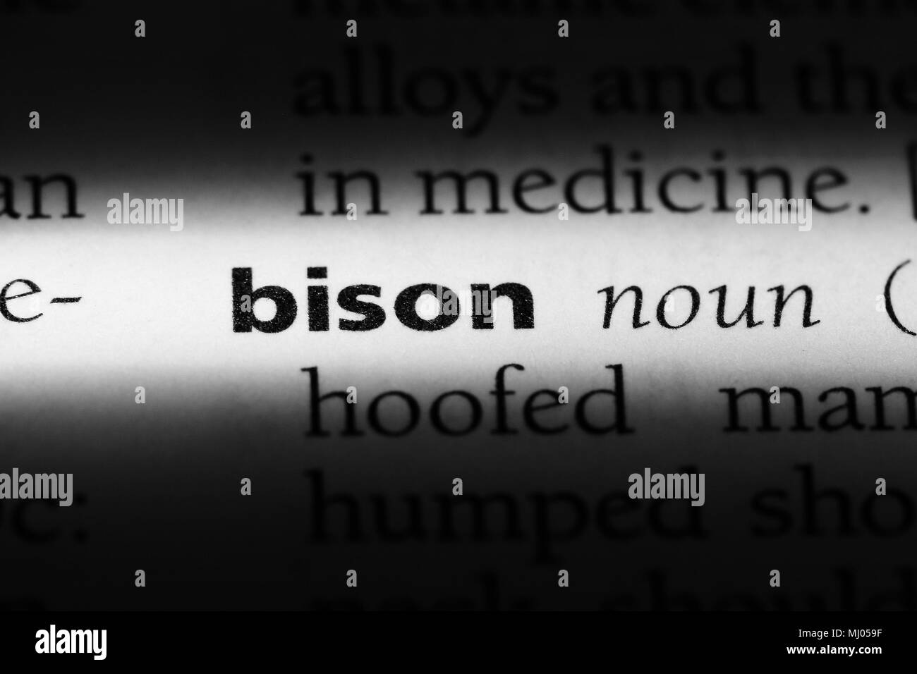 bison word in a dictionary. bison concept Stock Photo - Alamy