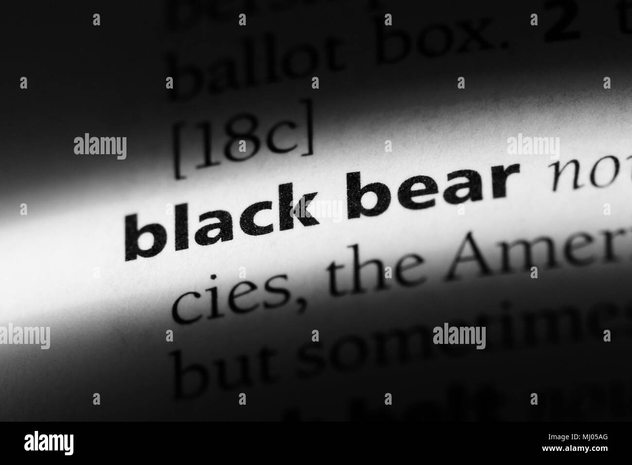 black bear word in a dictionary. black bear concept Stock Photo - Alamy