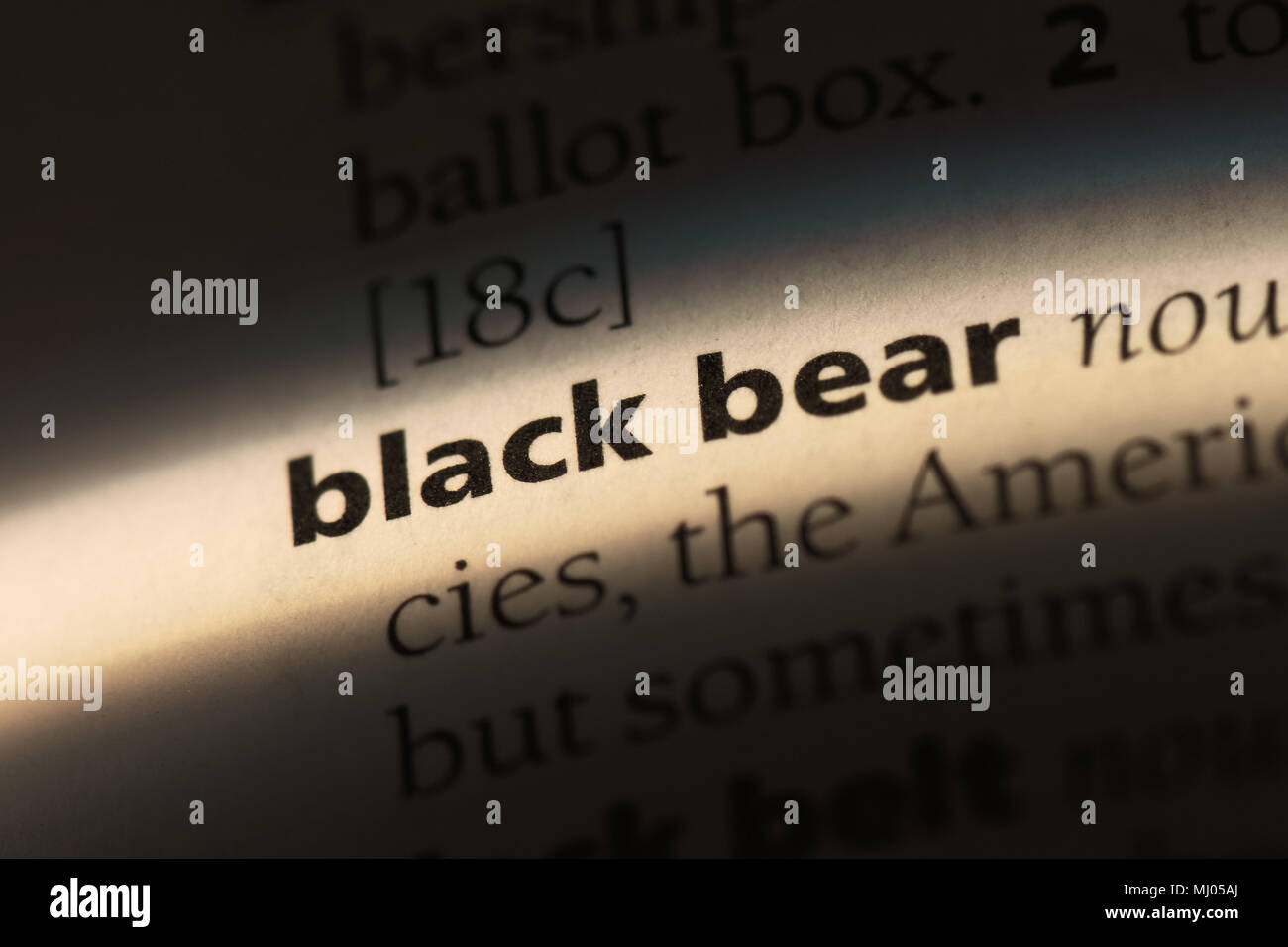 black bear word in a dictionary. black bear concept Stock Photo - Alamy