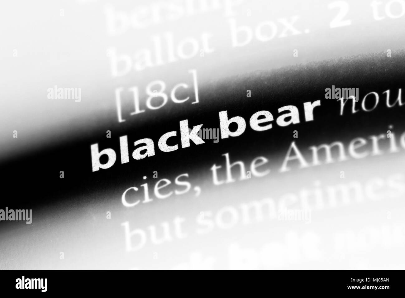 black bear word in a dictionary. black bear concept Stock Photo - Alamy