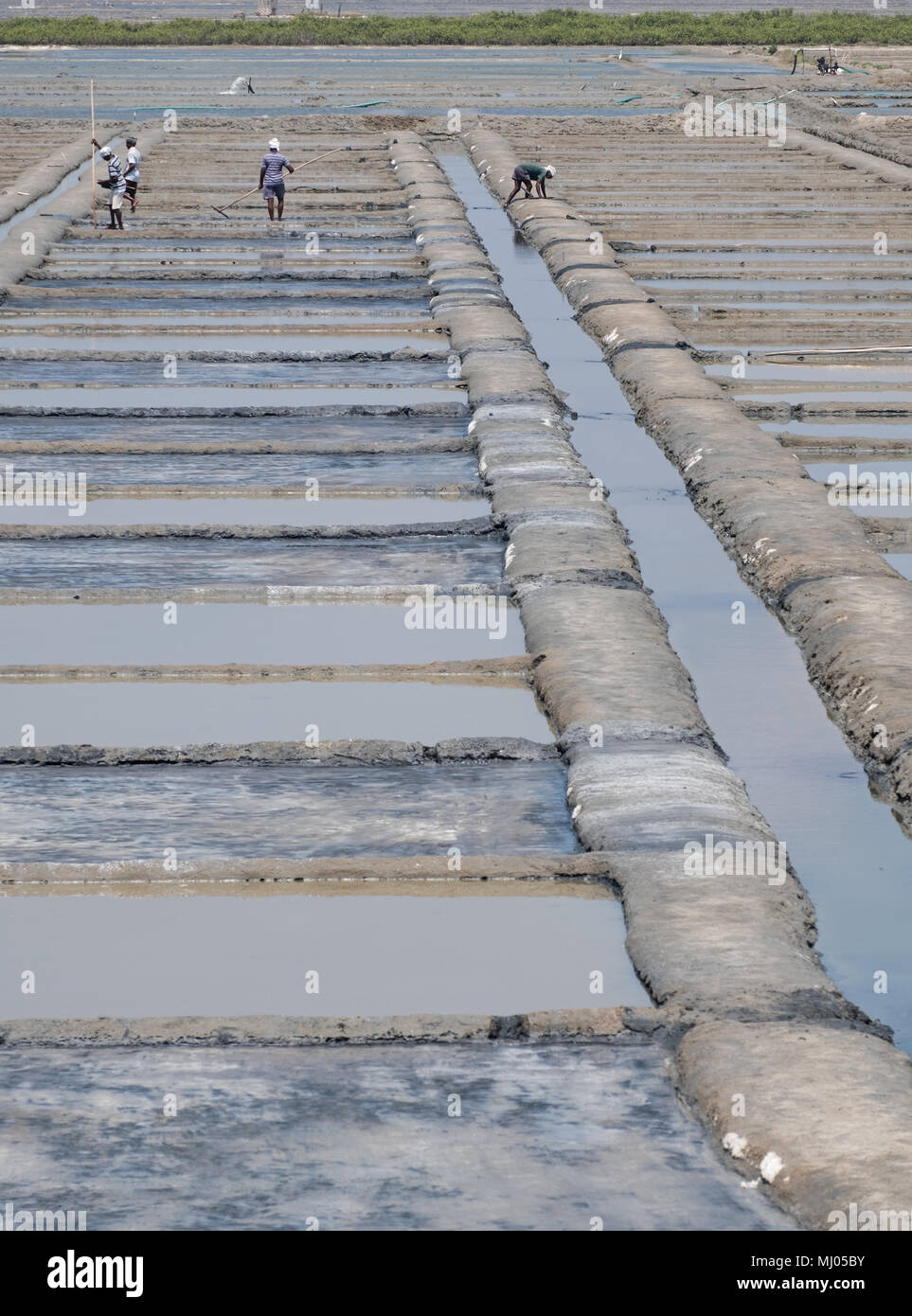 Colonial Salt Pans
