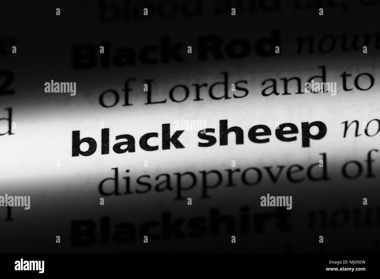 black sheep word in a dictionary. black sheep concept Stock Photo - Alamy
