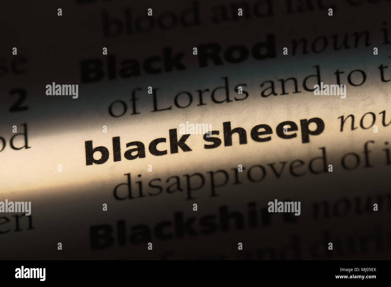 Black sheep concept hi-res stock photography and images - Alamy