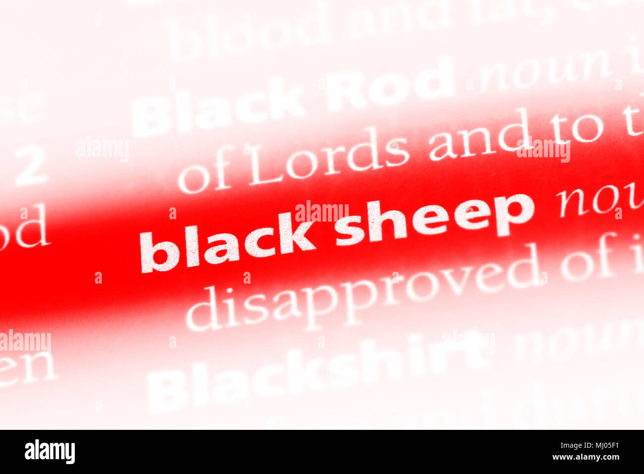 Black sheep concept hi-res stock photography and images - Alamy