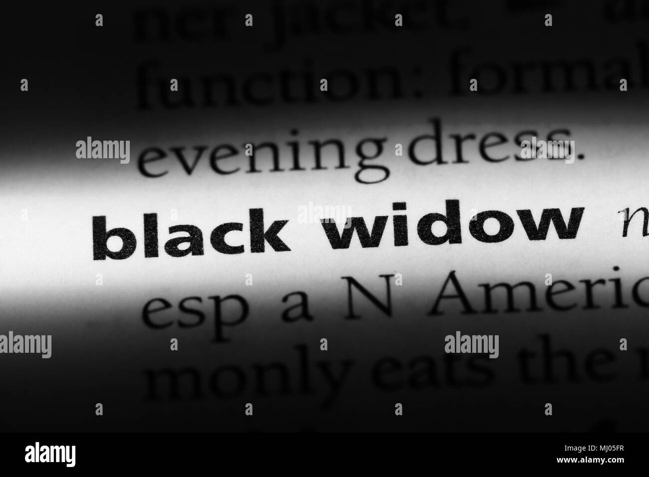 black widow word in a dictionary. black widow concept Stock Photo - Alamy