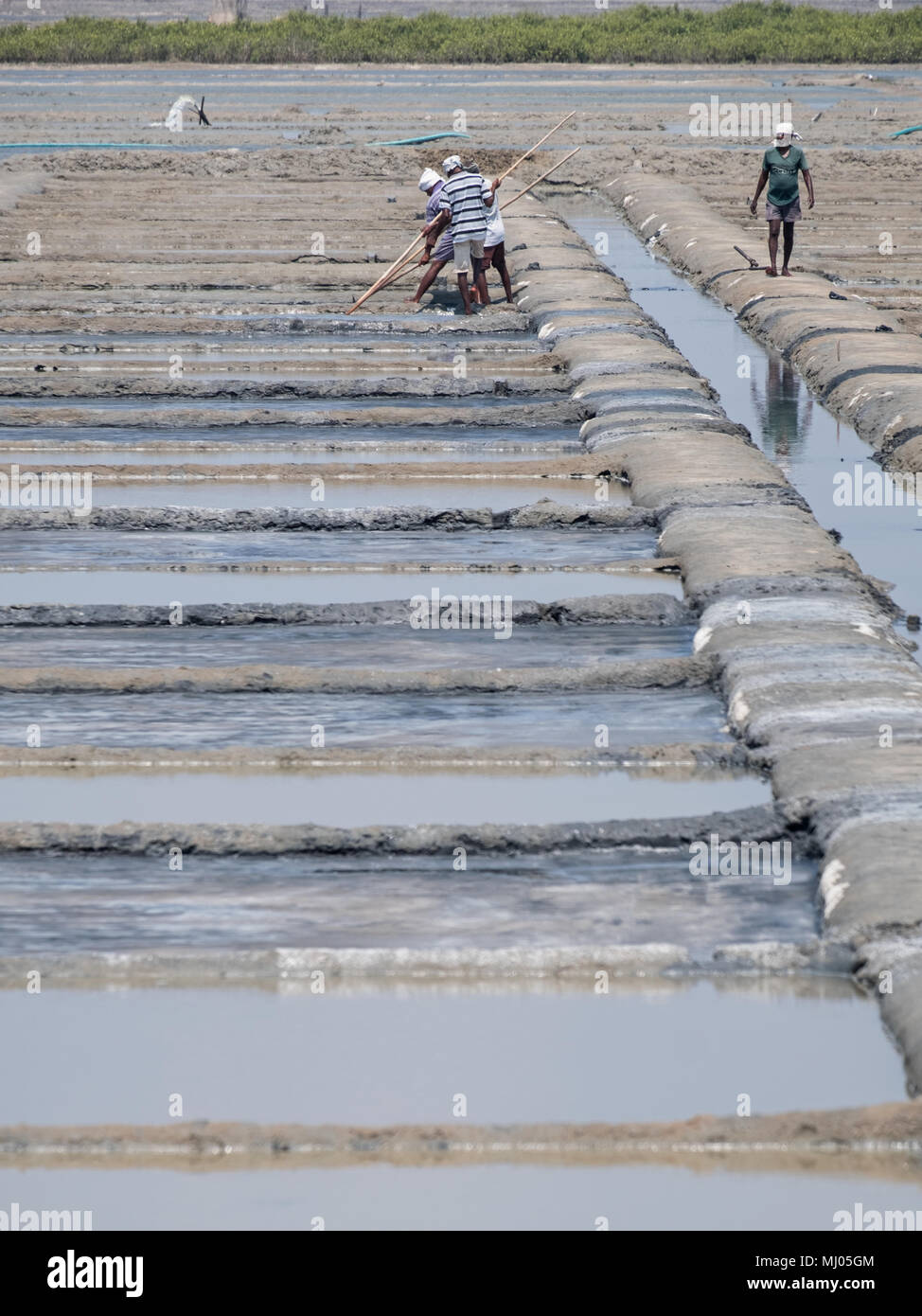Villuppuram, India - March 18, 2018: Workers on the salt flats in the ...