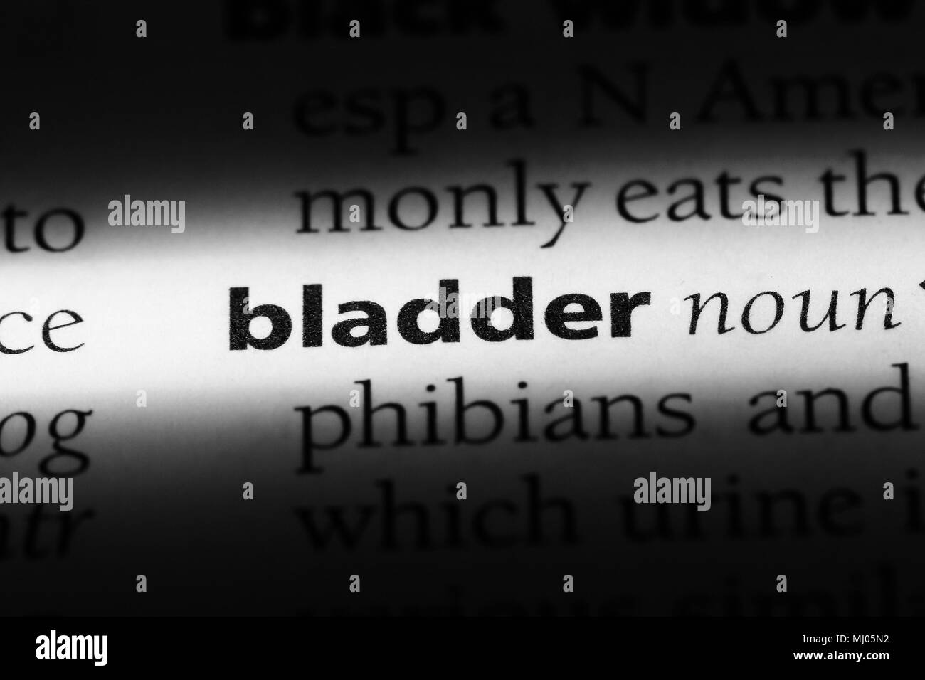 bladder word in a dictionary. bladder concept Stock Photo - Alamy