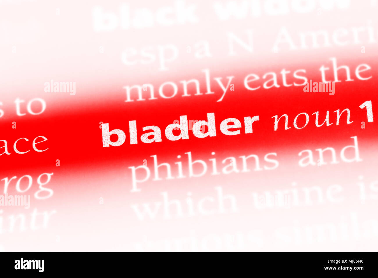 bladder word in a dictionary. bladder concept Stock Photo - Alamy
