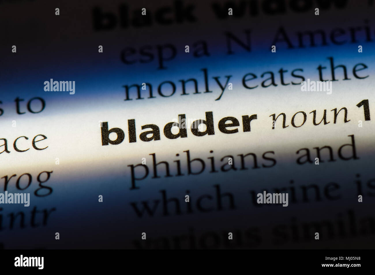 bladder word in a dictionary. bladder concept Stock Photo - Alamy
